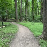 Gold Mine Loop Trail, Maryland - 1,000 Reviews, Map | AllTrails