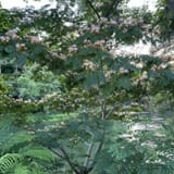 Augusta Canal National Heritage Area Trail, Georgia - 981 Reviews, Map ...