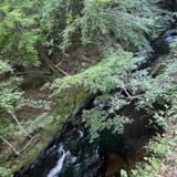 Augusta Canal National Heritage Area Trail, Georgia - 981 Reviews, Map ...