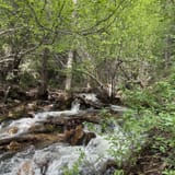 Lower Mill B North Fork Trail, Utah - 1,664 Reviews, Map | AllTrails