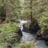 Boulder River Trail, Washington - 1,862 Reviews, Map | AllTrails