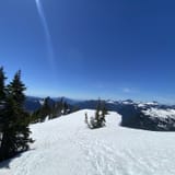 Mount Dickerman Trail, Washington - 1,575 Reviews, Map | AllTrails