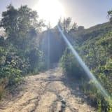 Stream, East Ridge, and Canyon Loop, California - 1,836 Reviews, Map ...