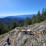 Mount June Trail, Oregon - 239 Reviews, Map | AllTrails