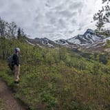 Matanuska Peak Trail, Alaska - 348 Reviews, Map | AllTrails