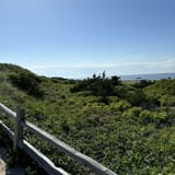 Napatree Point Conservation Area Trail, Rhode Island - 807 Reviews, Map ...