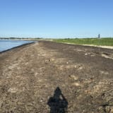 Napatree Point Conservation Area Trail, Rhode Island - 807 Reviews, Map ...