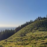 Cable Line Trail to West Tiger #3, Washington - 2,284 Reviews, Map ...