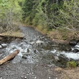 Carter Lake Trail, Alaska - 368 Reviews, Map | AllTrails