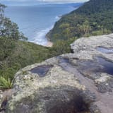 Palm Jungle Loop Track, New South Wales, Australia - 339 Reviews, Map ...