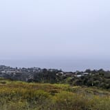Paseo Miramar Trail , California - 2,334 Reviews, Map | AllTrails