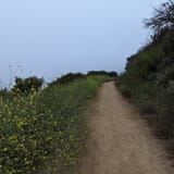 Paseo Miramar Trail , California - 2,334 Reviews, Map | AllTrails