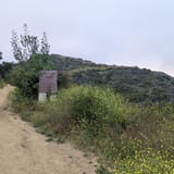 Paseo Miramar Trail , California - 2,334 Reviews, Map | AllTrails