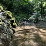 Hackfall Explorer, North Yorkshire, England - 404 Reviews, Map | AllTrails