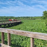 Neabsco Creek Boardwalk, Virginia - 969 Reviews, Map | AllTrails