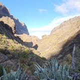 Masca Gorge Trail, Tenerife, Spain - 211 Reviews, Map | AllTrails