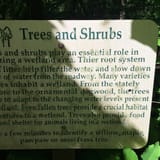 Neabsco Creek Boardwalk, Virginia - 969 Reviews, Map | AllTrails