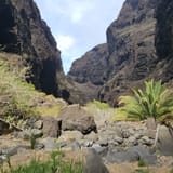 Masca Gorge Trail, Tenerife, Spain - 211 Reviews, Map | AllTrails