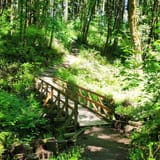 Galen McBee Airport Park Loop, Oregon - 230 Reviews, Map | AllTrails