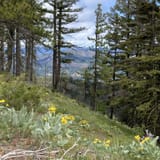 Mission Ridge Trail, Washington - 16 Reviews, Map | AllTrails