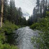 West Metolius River Trail, Oregon - 745 Reviews, Map | AllTrails