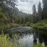 West Metolius River Trail, Oregon - 745 Reviews, Map | AllTrails