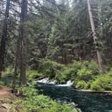 West Metolius River Trail, Oregon - 745 Reviews, Map | AllTrails