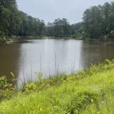 Clear Springs Lake Loop, Mississippi - 33 Reviews, Map | AllTrails