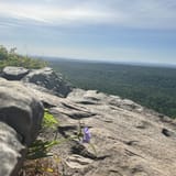 Kings Chair Loop, Alabama - 2,233 Reviews, Map | AllTrails