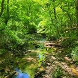 Rachel Carson Greenway and Northwest Branch Trail, Maryland - 1,369 ...
