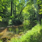 Rachel Carson Greenway and Northwest Branch Trail, Maryland - 1,369 ...