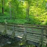Rachel Carson Greenway and Northwest Branch Trail, Maryland - 1,369 ...