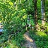 Rachel Carson Greenway and Northwest Branch Trail, Maryland - 1,369 ...