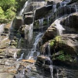 Yellow Branch Falls Trail, South Carolina - 2,794 Reviews, Map | AllTrails
