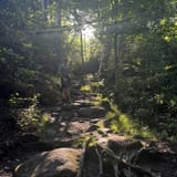 Ramsey Cascades Trail, Tennessee - 2,440 Reviews, Map | AllTrails
