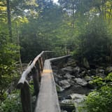 Ramsey Cascades Trail, Tennessee - 2,440 Reviews, Map | AllTrails