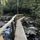 Ramsey Cascades Trail, Tennessee - 2,440 Reviews, Map | AllTrails