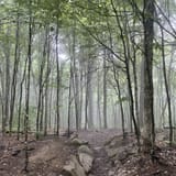 Mount Arab Trail, New York - 2,343 Reviews, Map | AllTrails