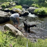 Arthog Waterfalls Circular, Gwynedd, Wales - 23 Reviews, Map | AllTrails