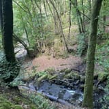 Arthog Waterfalls Circular, Gwynedd, Wales - 23 Reviews, Map | AllTrails