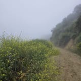 Beaudry Loop, California - 5,393 Reviews, Map | AllTrails