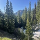 Butler Gulch Trail, Colorado - 2,618 Reviews, Map | AllTrails