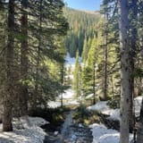 Butler Gulch Trail, Colorado - 2,515 Reviews, Map | AllTrails