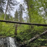 Mima Falls East Trail, Washington - 1,935 Reviews, Map | AllTrails