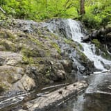 Mima Falls East Trail, Washington - 1,935 Reviews, Map | AllTrails