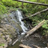 Mima Falls East Trail, Washington - 1,935 Reviews, Map | AllTrails