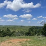 Lost Pines Trail, Texas - 683 Reviews, Map | AllTrails