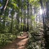 Washington Park Loop, Oregon - 1,739 Reviews, Map | AllTrails