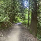 Washington Park Loop, Oregon - 1,739 Reviews, Map | AllTrails