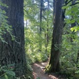 Washington Park Loop, Oregon - 1,739 Reviews, Map | AllTrails